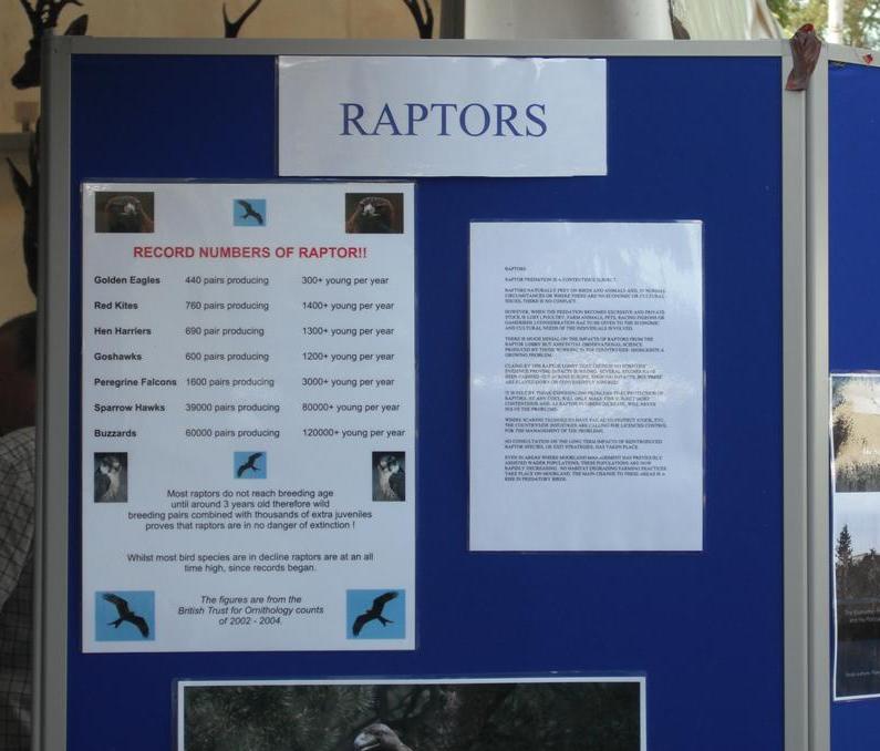 “Raptors are thriving on gamekeepered ground”, claims the SGA – Raptor ...