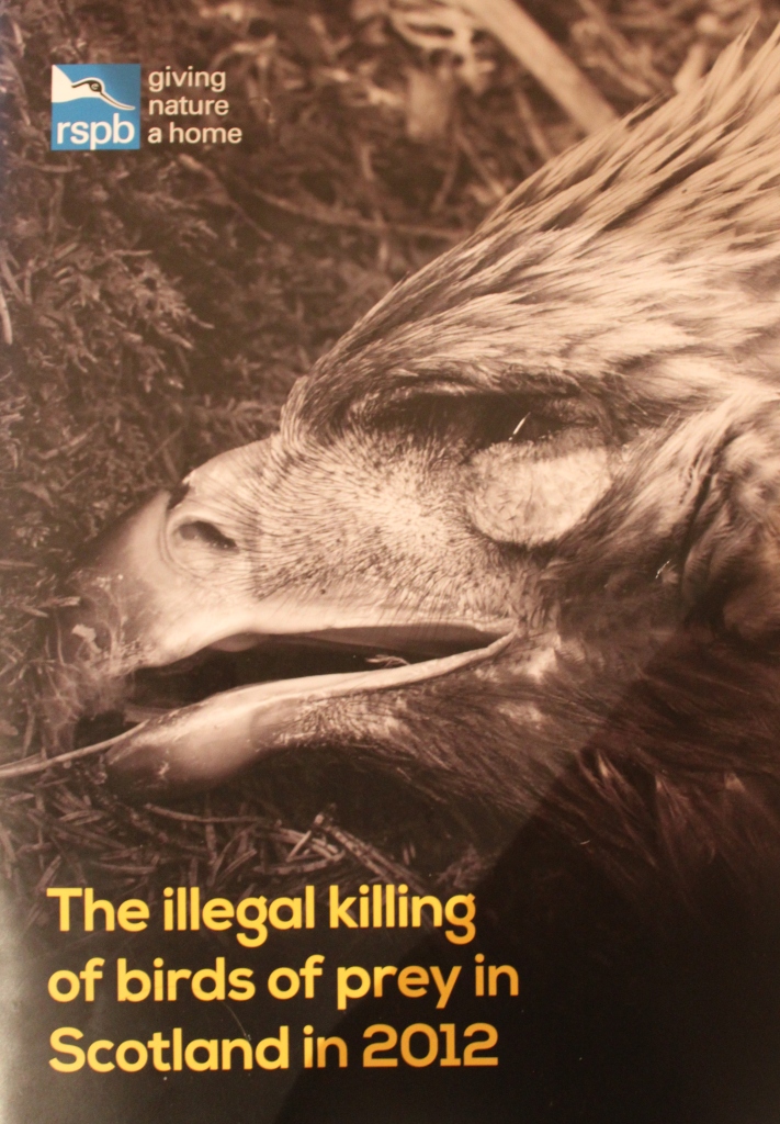 RSPB Scotland publishes 2012 persecution report – Raptor Persecution UK
