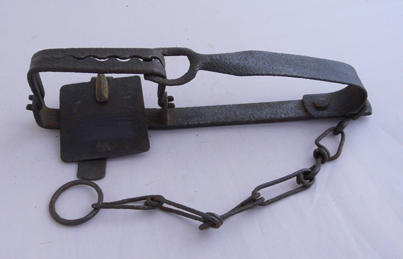 May 2015 – Raptor Persecution UK