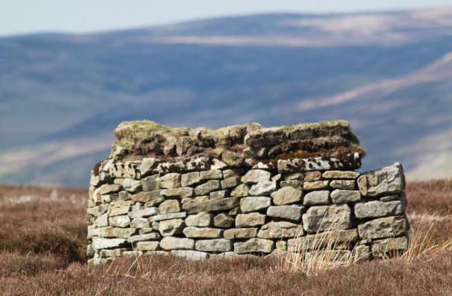 Environment Committee brings licensing for driven grouse shooting one ...