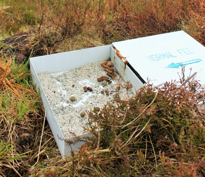 The red grouse and medicated grit scandal: it’s hard to swallow ...