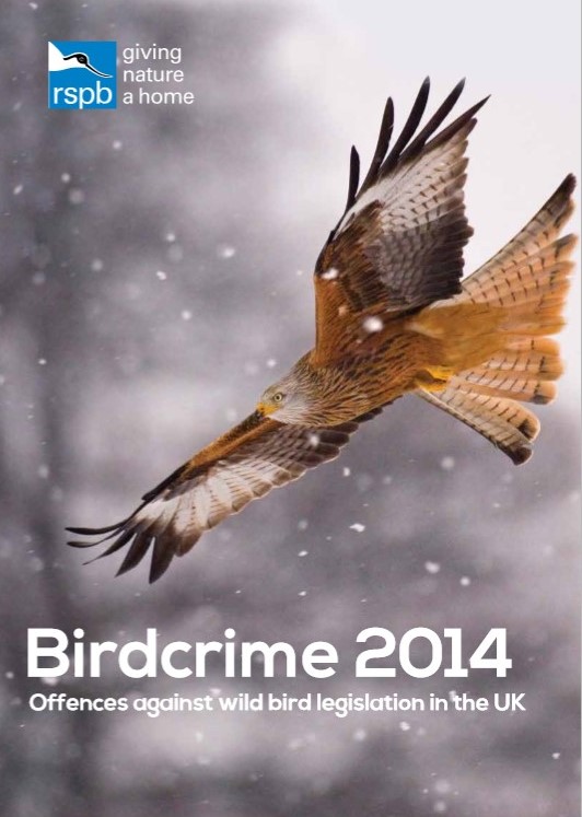 Shameful catalogue of raptor persecution revealed in RSPB’s Birdcrime ...