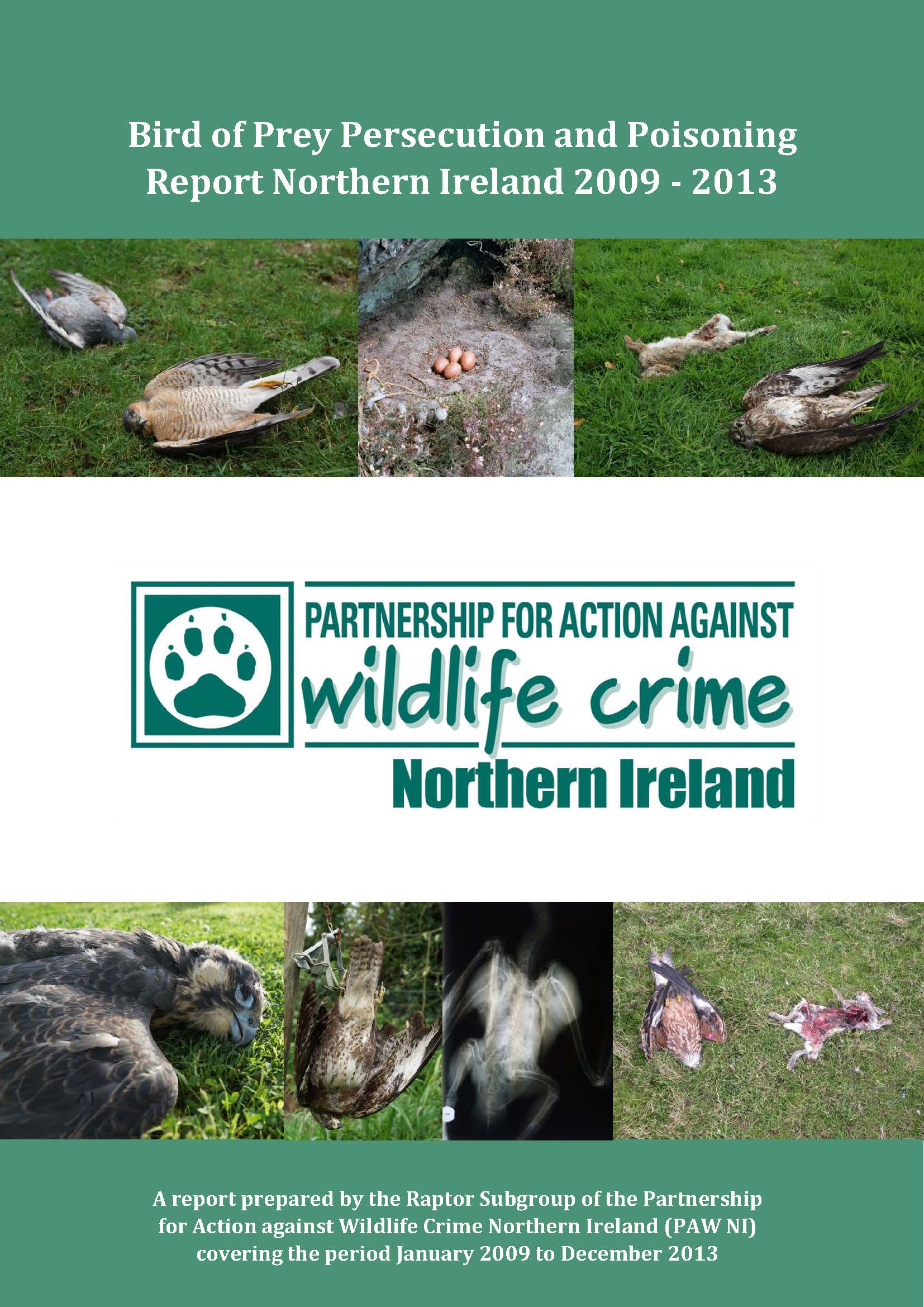 New report highlights raptor persecution in Northern Ireland – Raptor ...