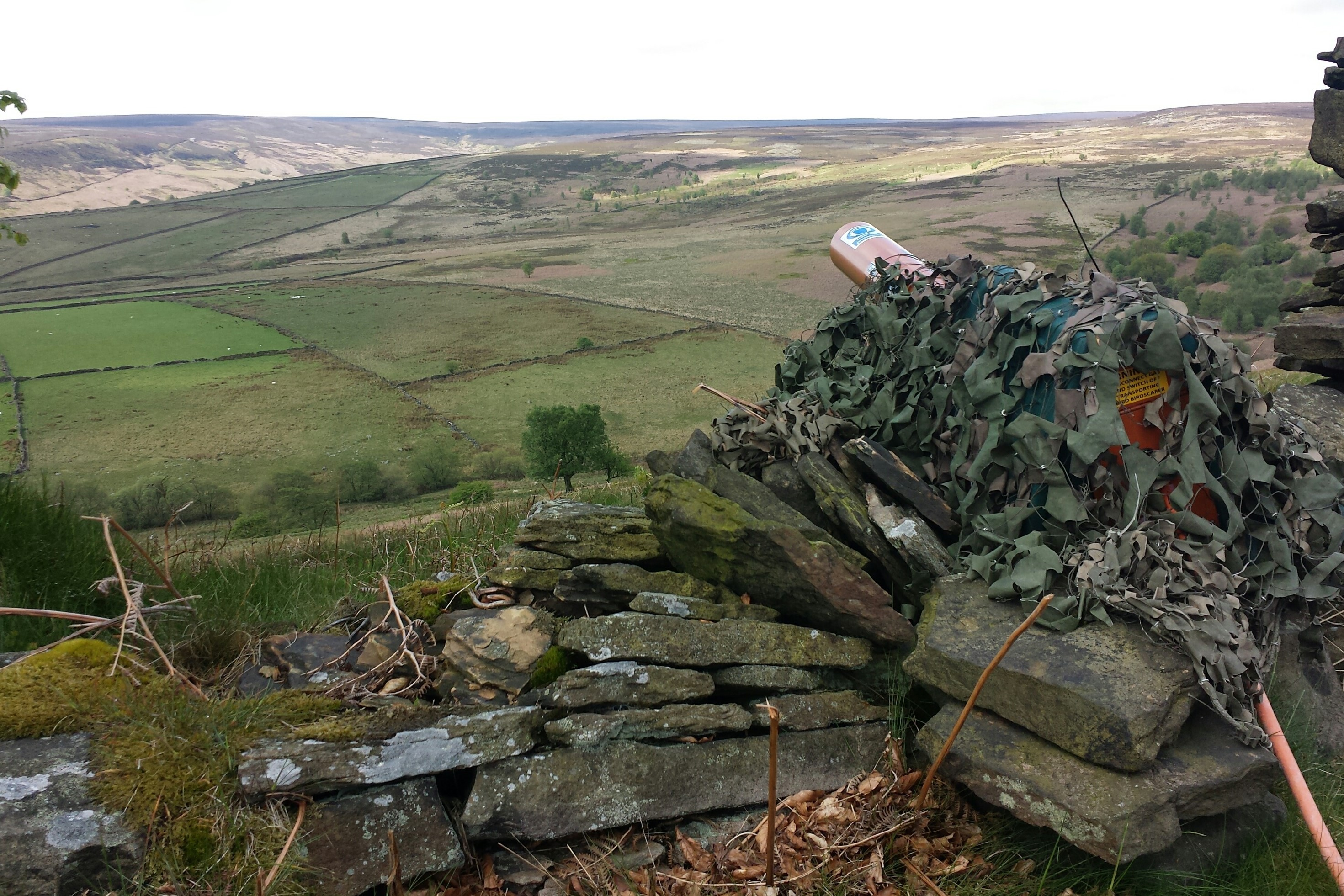 Gas gun in use on grouse moor in Peak District National Park – Raptor ...
