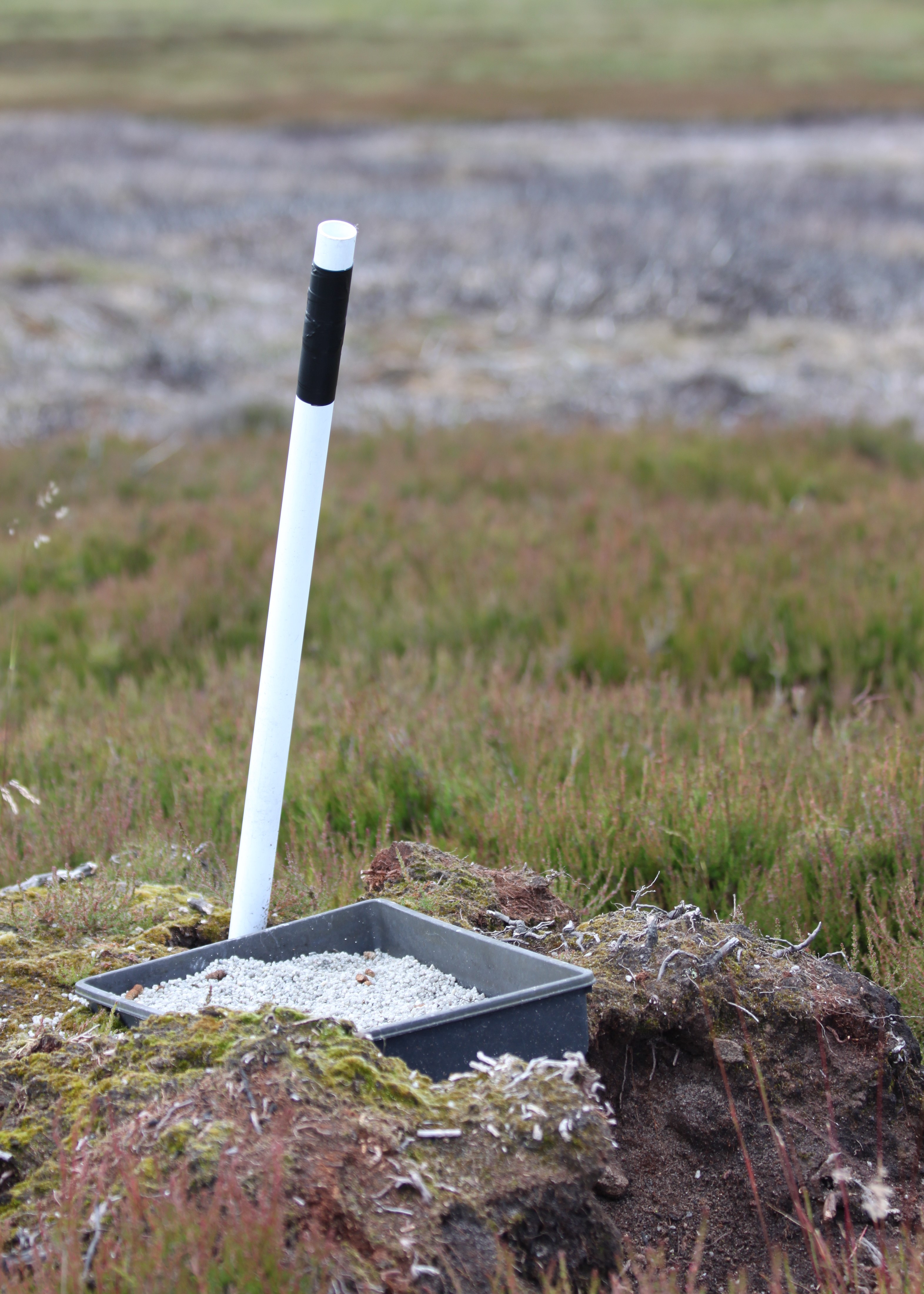 Are red grouse safe to eat? Don’t rely on Government testing to tell ...