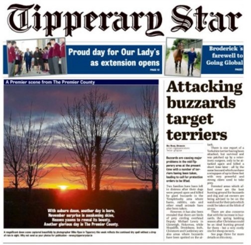 ‘Giant buzzards’ eating dogs, warns Tipperary newspaper – Raptor ...