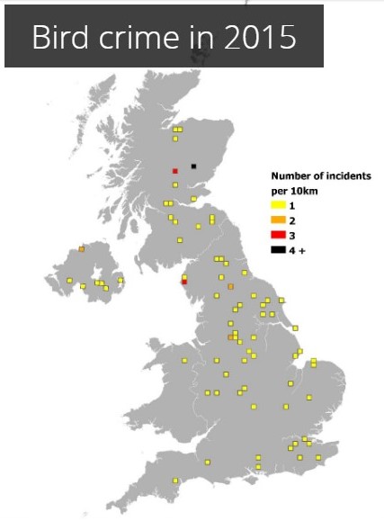 RSPB publishes 2015 UK Birdcrime report – Raptor Persecution UK