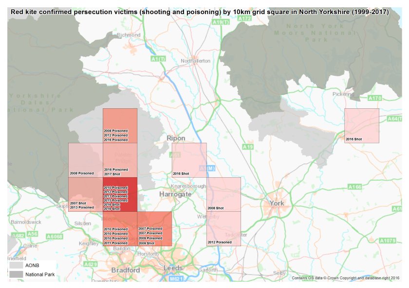 Killing red kites is de rigueur in Nidderdale AONB, North Yorkshire ...