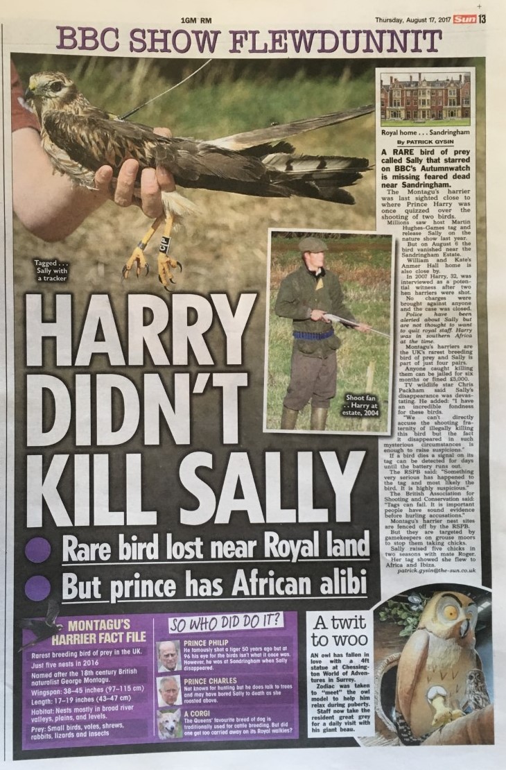 Harry didn’t kill Sally – Raptor Persecution UK