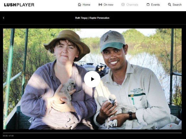 Podcast interview with RPUK blogger Ruth Tingay – Raptor Persecution UK