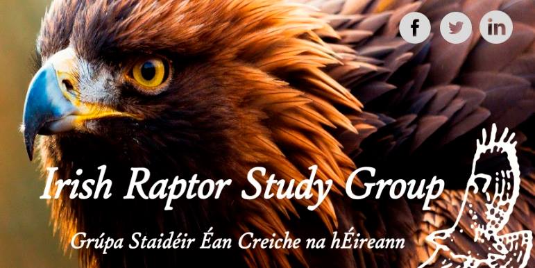 Irish Raptor Study Group Annual Conference – bookings now open – Raptor ...