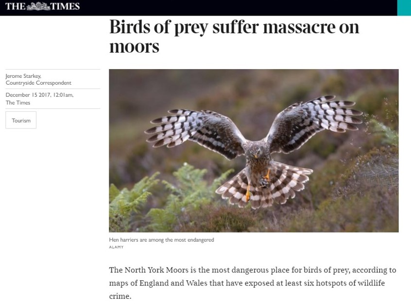 Birds of prey suffer massacre on moors – Raptor Persecution UK