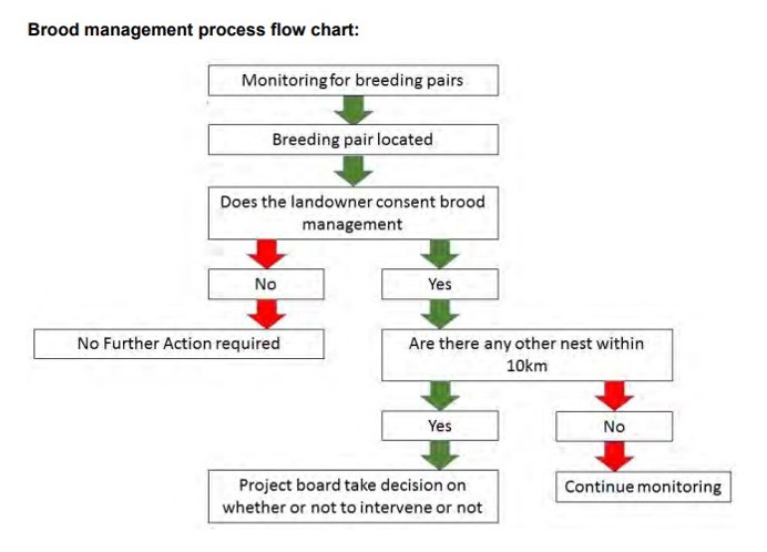 Five year Hen harrier brood meddling trial gets green light to start ...