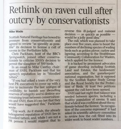 Is the raven cull licence still active whilst SNH review takes place ...