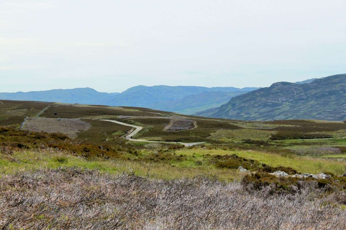 Raven cull licence: scientific rigour ‘completely inadequate’ says SNH ...