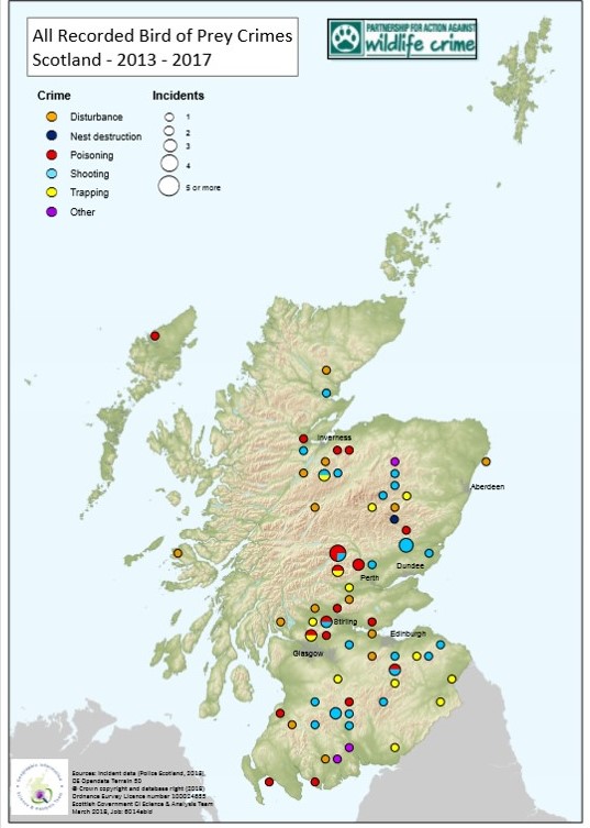2017 raptor persecution stats show criminals getting better at hiding ...