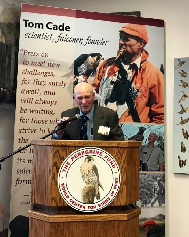 Obituary: Professor Tom Cade – Raptor Persecution UK
