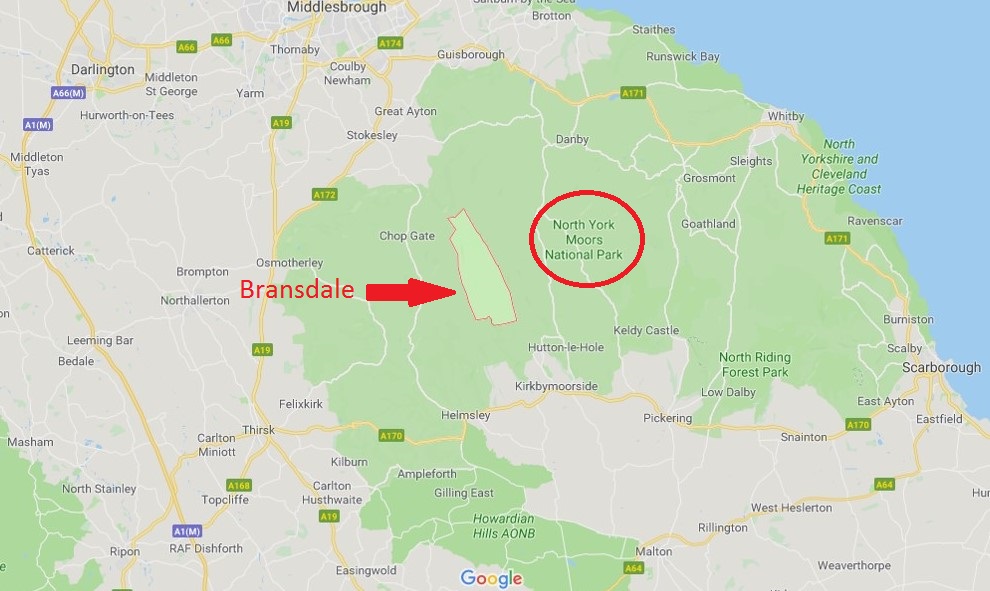 Buzzard found shot dead in North York Moors National Park – Raptor ...