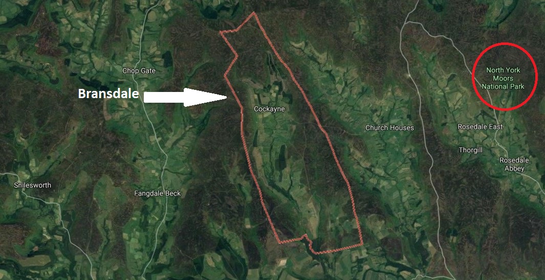 Buzzard found shot dead in North York Moors National Park – Raptor ...