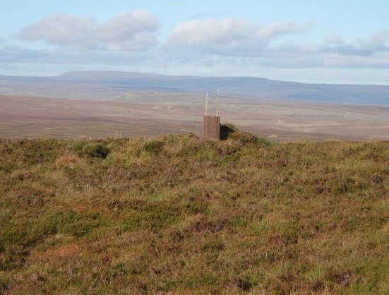 Brood meddled hen harrier chick vanished from grouse moor on Bowes ...