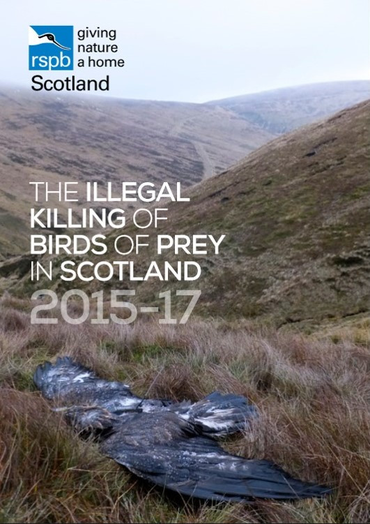 Job vacancy: Assistant Investigations Officer, RSPB Scotland – Raptor ...