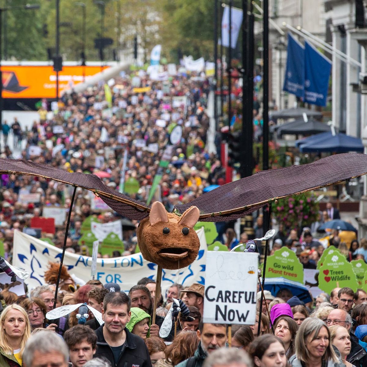People’s Walk for Wildlife #2: London, Sunday 27th November 2022 ...
