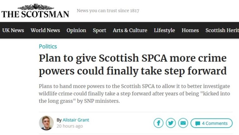 Taskforce review on extra powers for SSPCA ‘will be published within ...