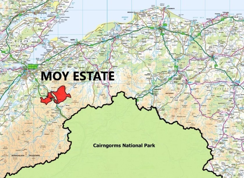 Gamekeeper convicted of raptor persecution on Moy – a notorious ...