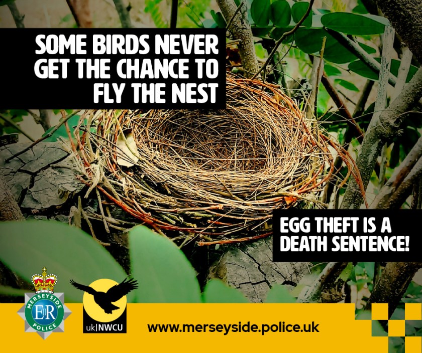 Operation Easter launches for its 26th year – national police campaign ...