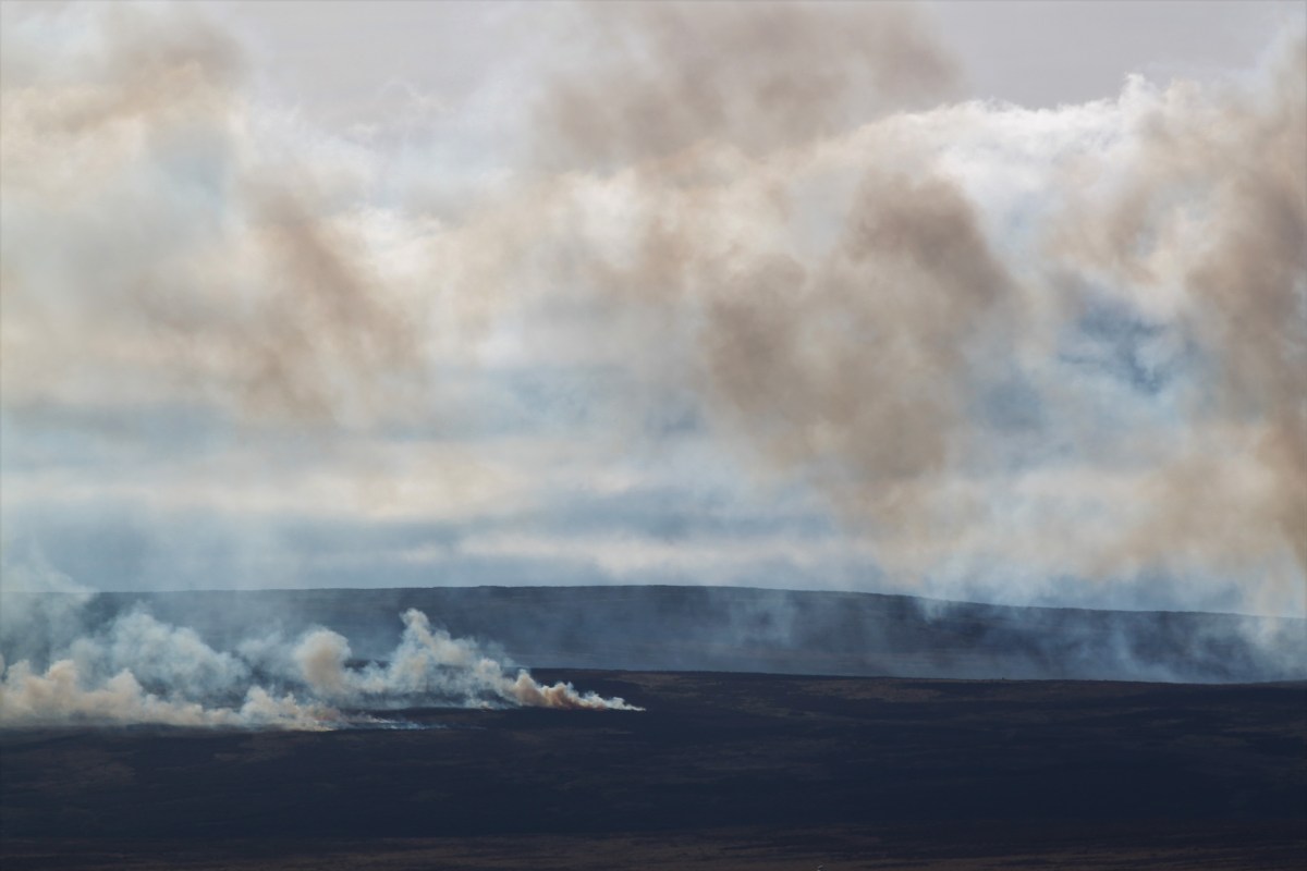 Moorland Association Director Ben Ramsden convicted for burning on deep ...