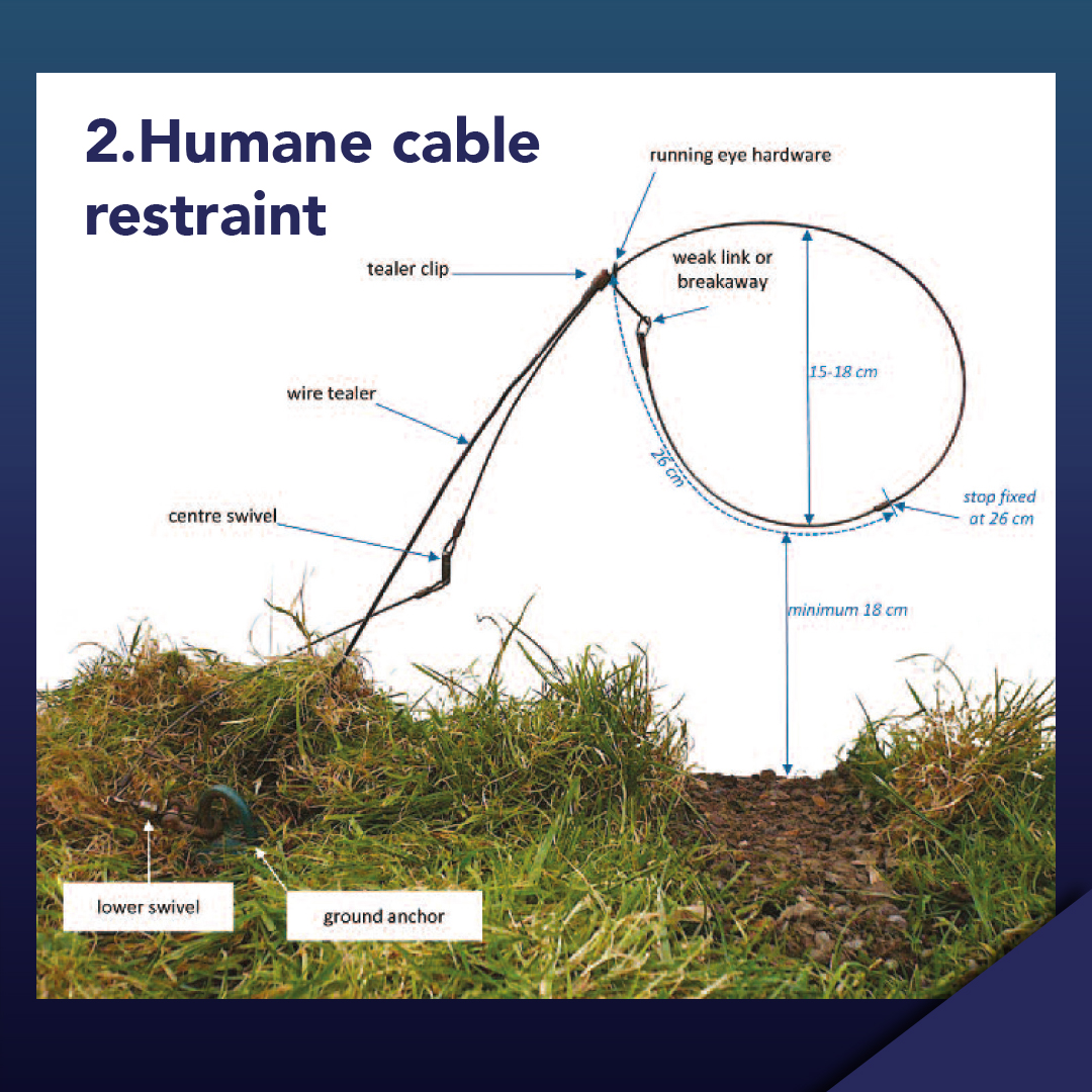 A ‘Humane cable restraint’ is still a snare, it’s just been rebranded ...