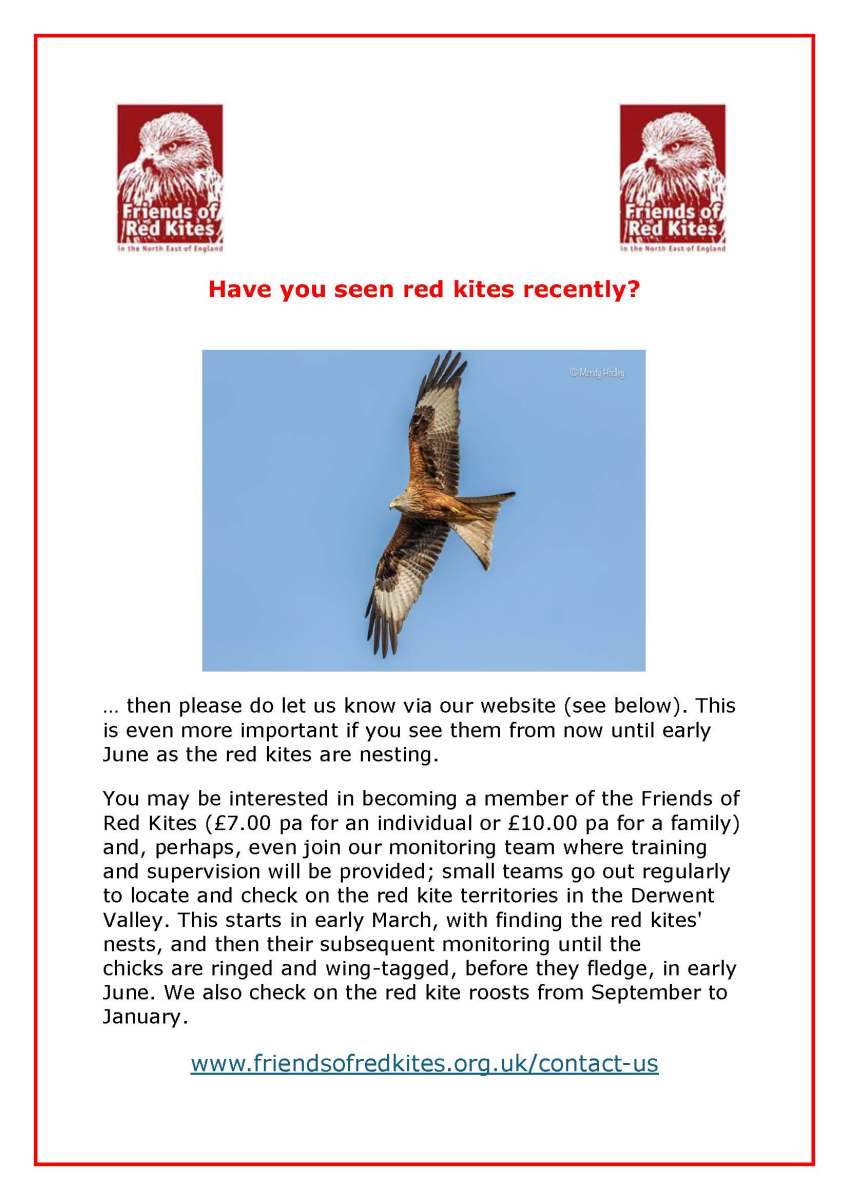 Sightings of Red Kites wanted from North-east England – Raptor ...