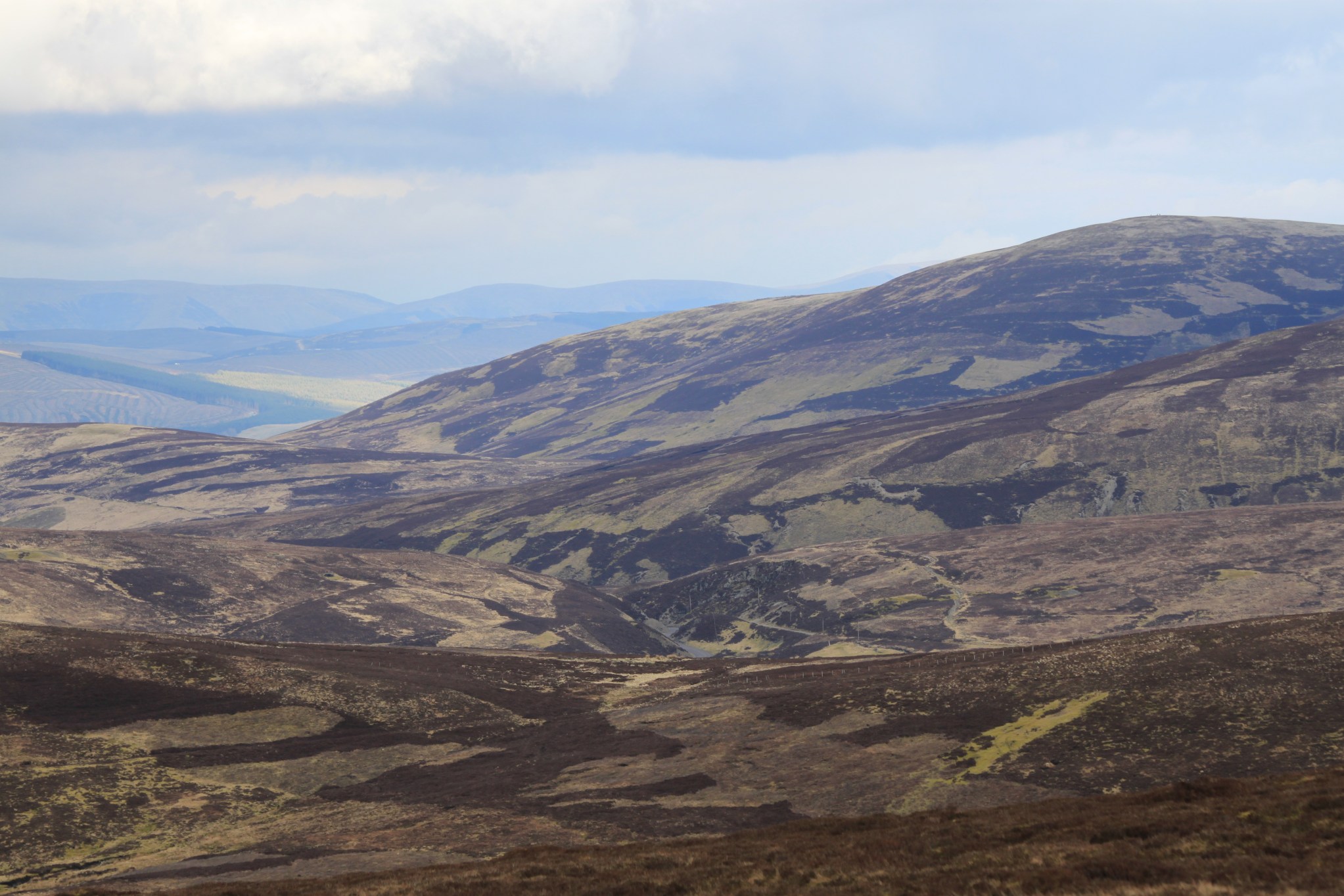 Codes of practice for grouse moor management & muirburn in Scotland ...