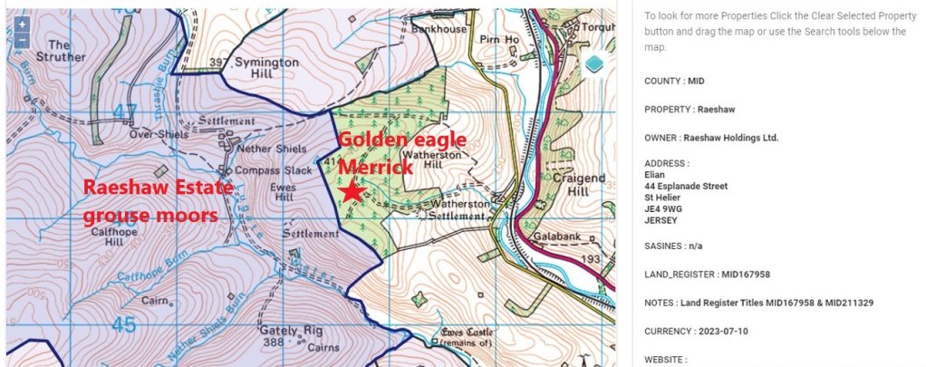 Police believe Golden eagle ‘Merrick’ was ‘shot & killed’ in south ...