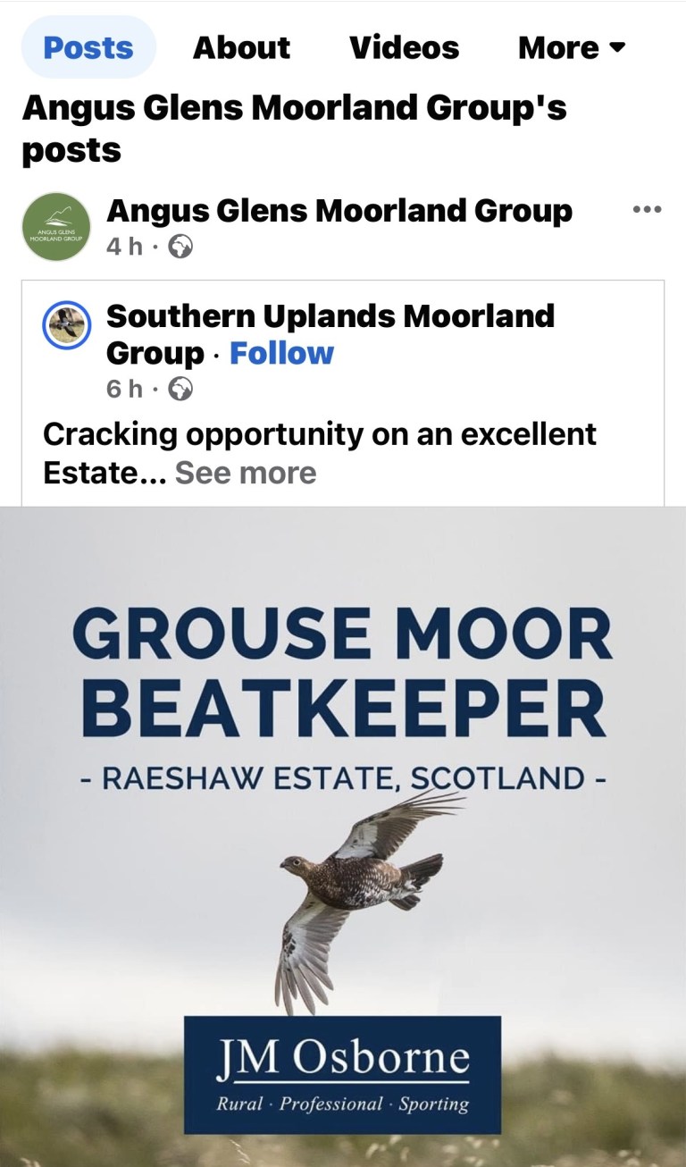 Police believe Golden eagle ‘Merrick’ was ‘shot & killed’ in south ...