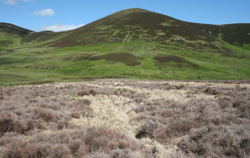 Your help needed – ‘Save Stobo Hope from commercial forestry project ...
