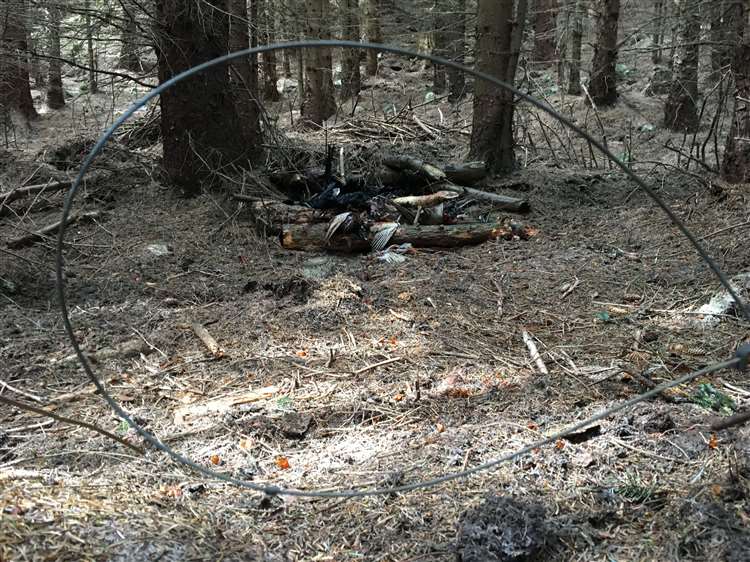 Man in court for alleged snaring offences & MSP asks Scottish ...