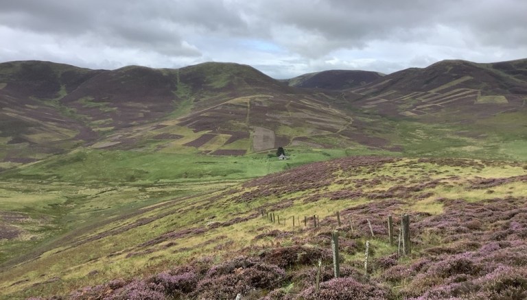Stobo Hope – NatureScot refuses licence application by Pryor & Rickett ...