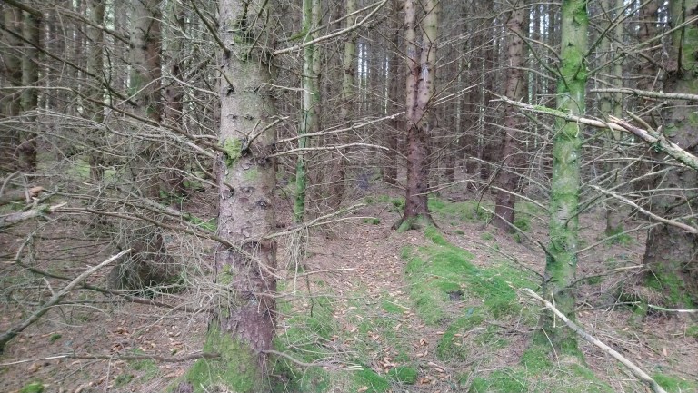 Stobo Hope – NatureScot refuses licence application by Pryor & Rickett ...