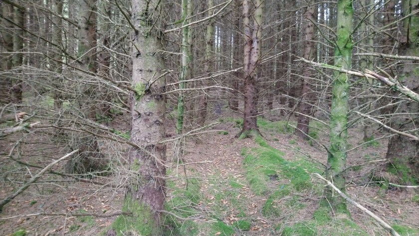 Stobo Hope – NatureScot refuses licence application by Pryor & Rickett ...