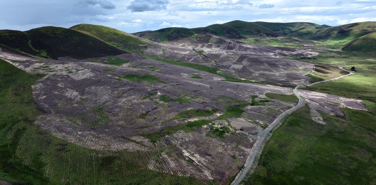 Stobo Hope – did GWCT ‘advice’ help avoid an Environmental Impact ...