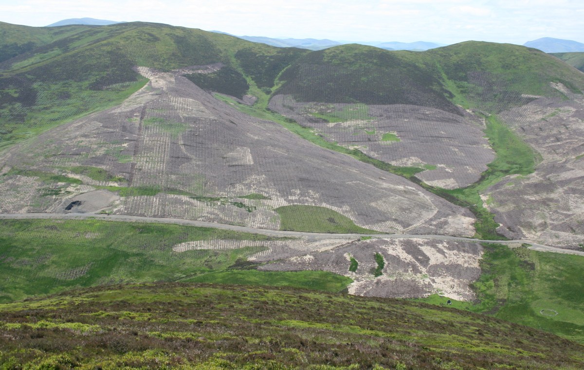 Investment firm applies for judicial review against decision to halt ...