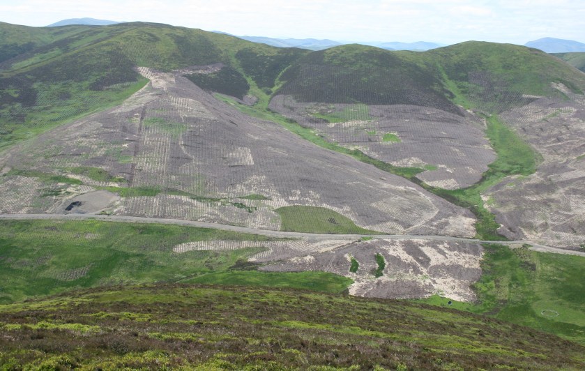 Investment firm applies for judicial review against decision to halt ...