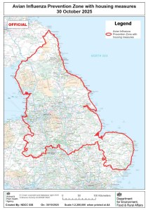 Defra announces new measures as Bird Flu cases rise again – Raptor ...