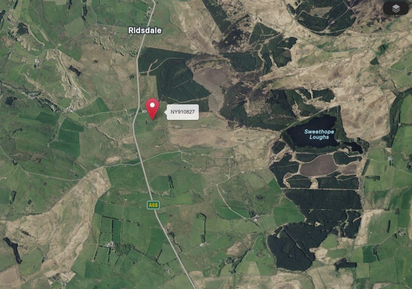 Satellite-tagged Hen Harrier Edna “suspected illegally killed”. Was she ...