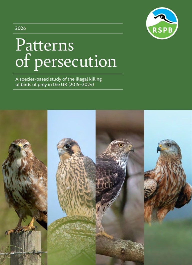 UK legislation continues to fail birds of prey as widespread illegal ...